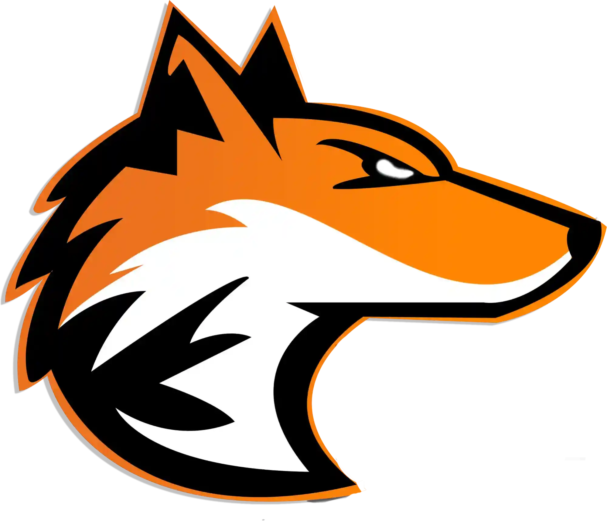 Team Foxtrot Giki